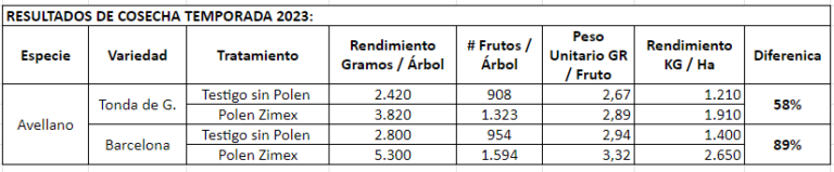POLINIZACIÓN ASISTIDA EN AVELLANO EUROPEO, refuerzo productivo - Zimex ...